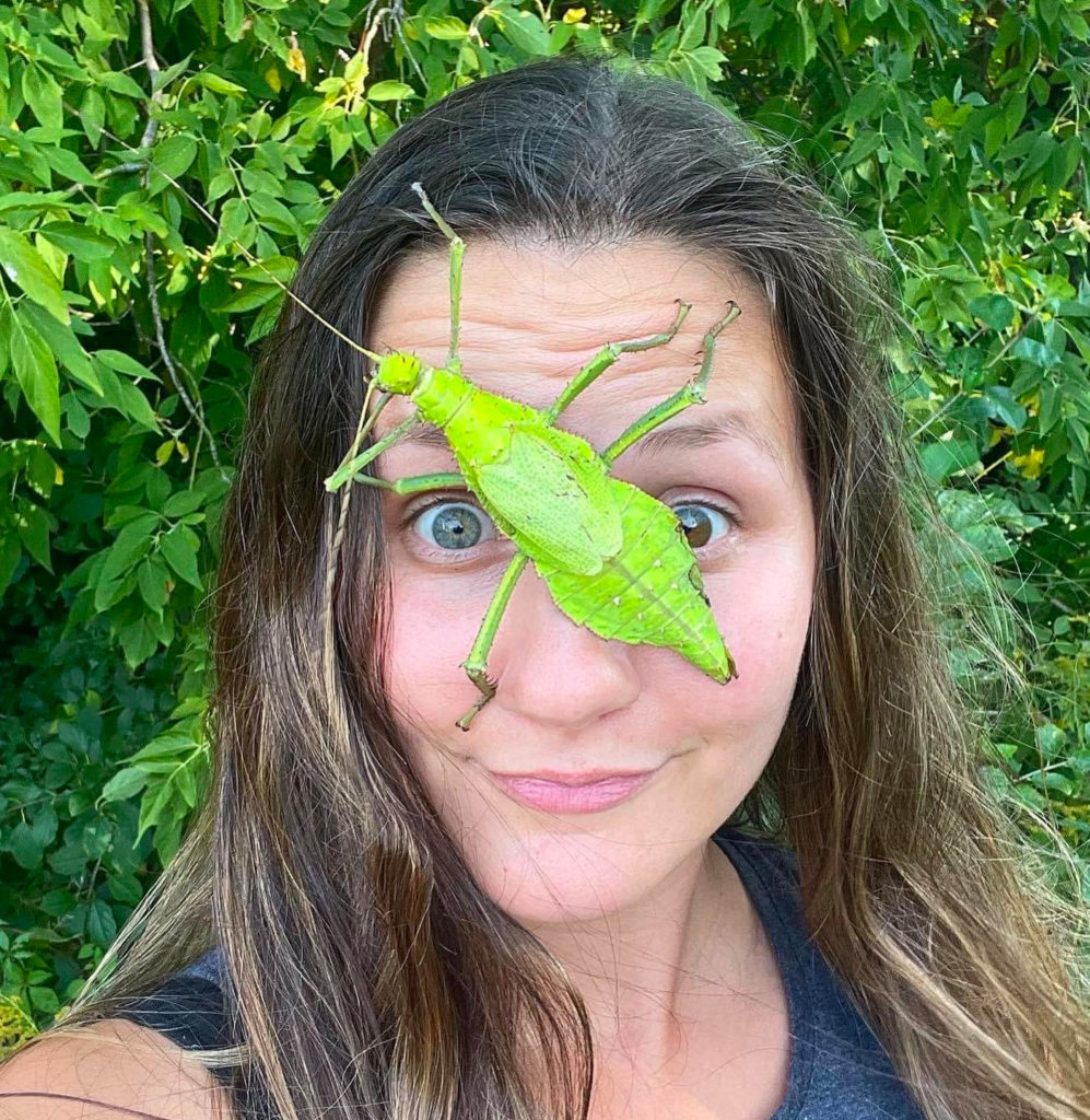 Bugs on Wheels – A Unique Hands-On Experience