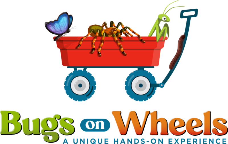 The Bug Lady – Bugs on Wheels